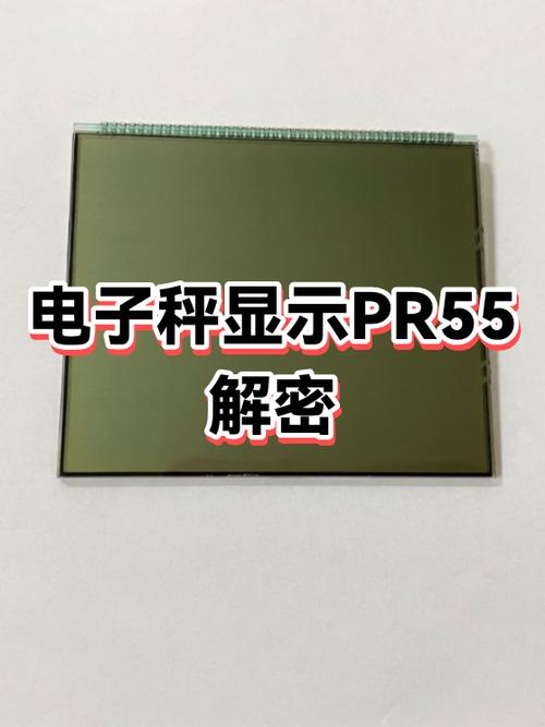 pr55是什么意思图标