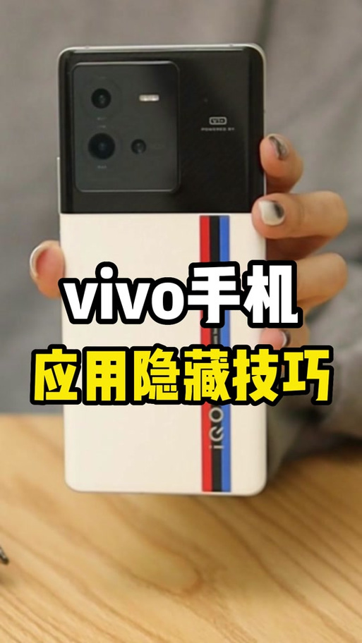 vivo 隐私空间图标