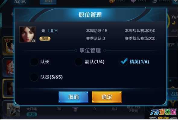 王者战队副队长有什么权限截图