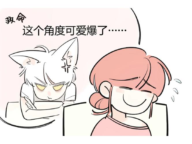 光狐和暗狐的区别