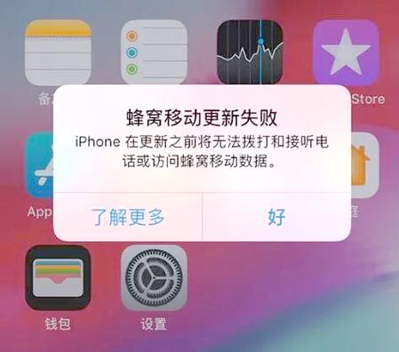 苹果蜂窝网络显示错误图标