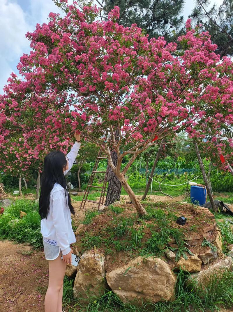 女人挖矿是指紫薇吗图标