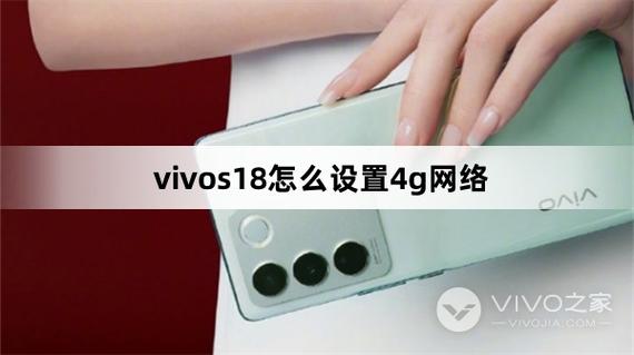 vivo手机切换4g网络的方法图标