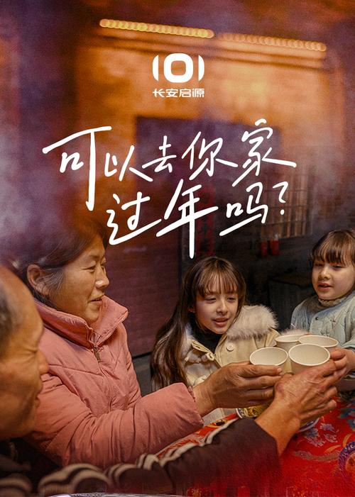 我可以去你家过年吗
