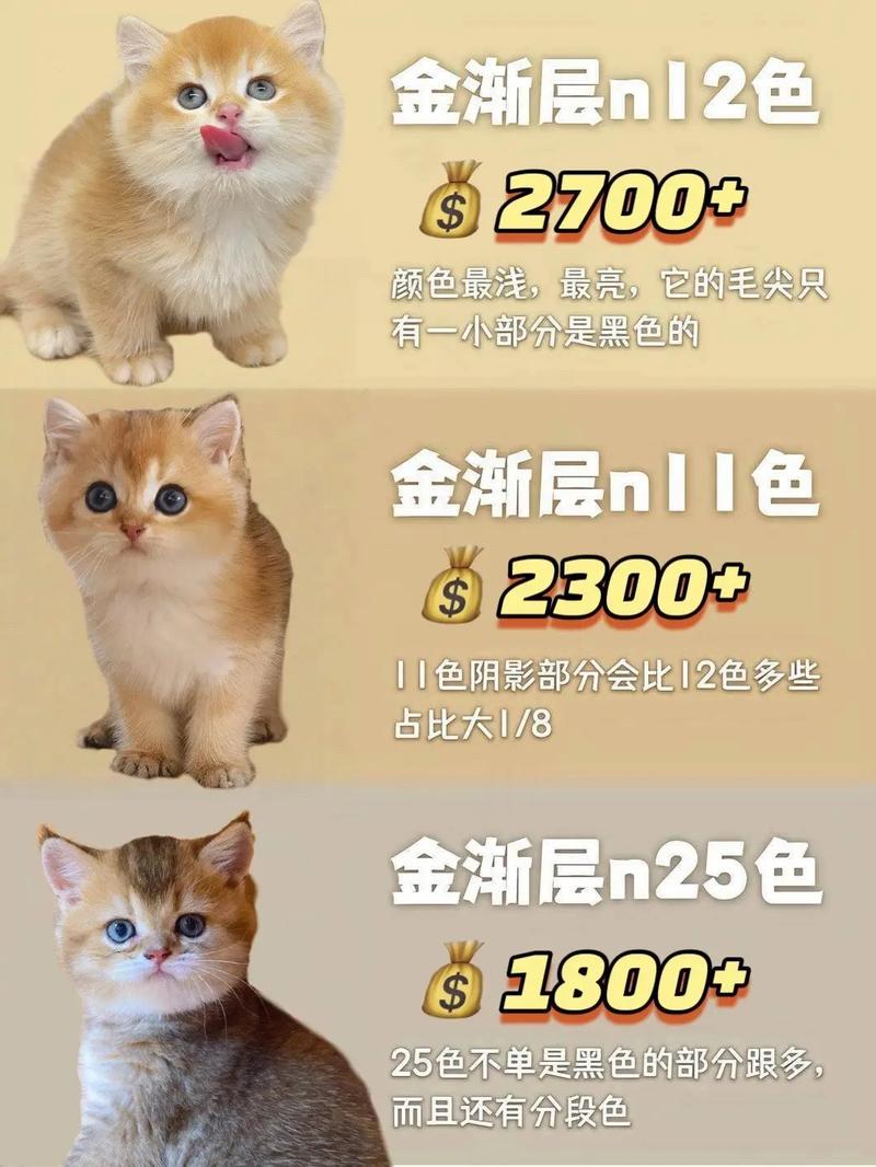 金渐层11色的价格截图