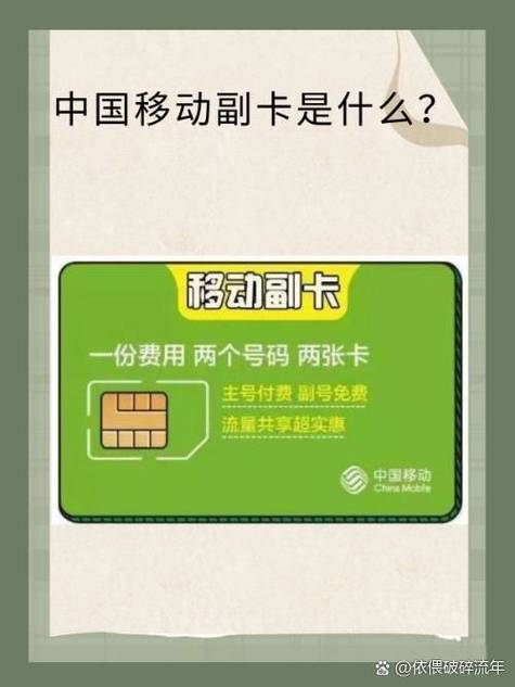 移动流量分享卡副卡图标