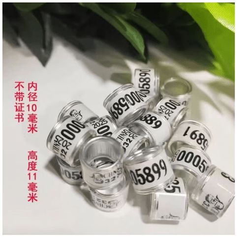 台湾鸽会足环代码图标