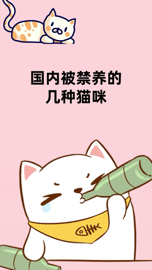 母猫地上打滚要警惕四种病图标