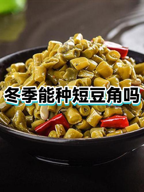 短豆角的做法截图