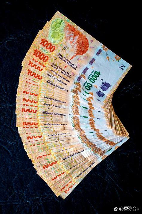 阿根廷货币最新消息图标