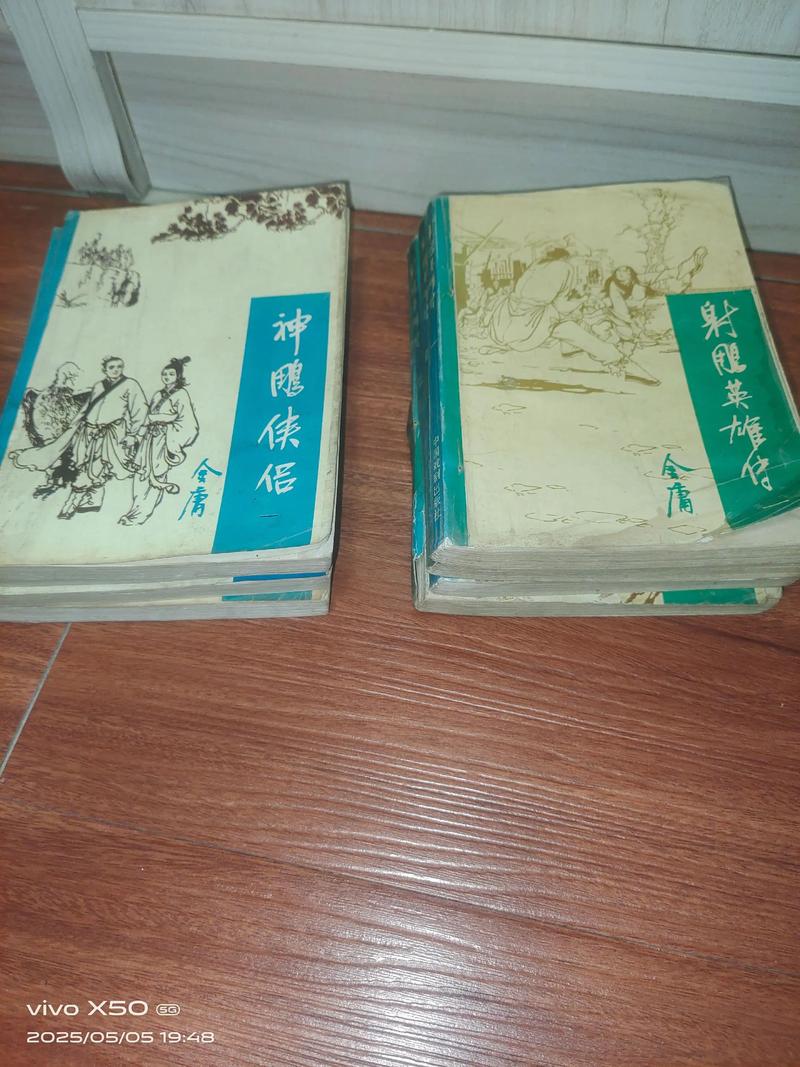 山寨版神雕合集小说在线阅读截图
