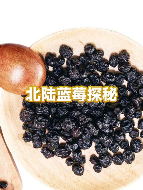 蓝莓的功效与作用及营养价值图标