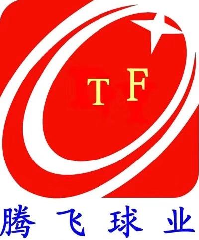 腾飞官网截图