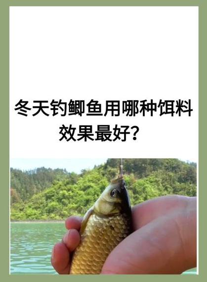 秋冬季节野钓鲫鱼用什么饵料图标