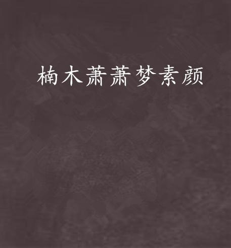 楠木文学图标