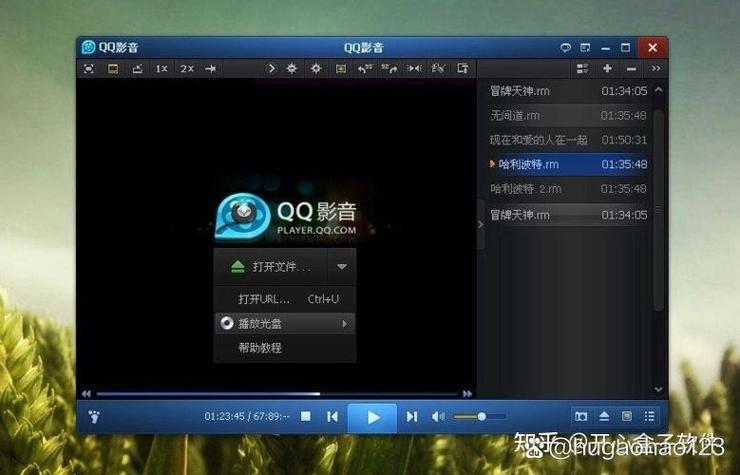 mkv下载 歌库截图