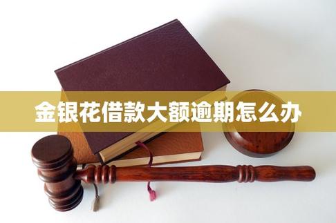 金银花借款app入口图标