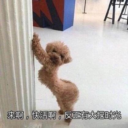 来一把表情包图标