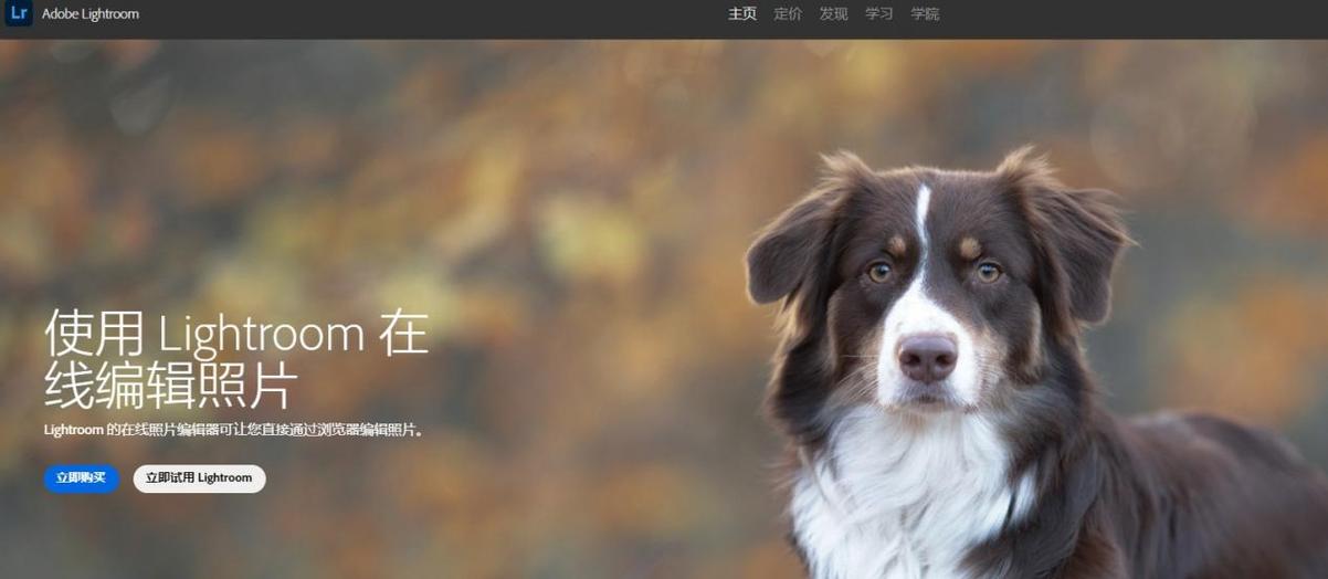 手机编辑图片黑白反转图标