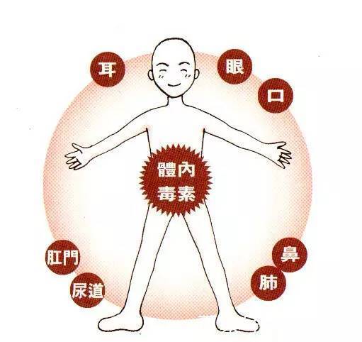 清理体内毒素的方法截图