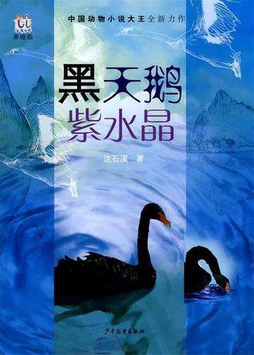 淘淘小说图标