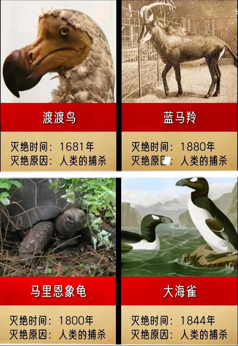我的世界秒杀一切生物的指令是什么图标