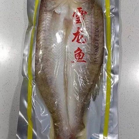 雪龙鱼价格多少钱一条图标