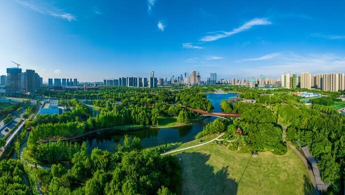 城市绿色图标