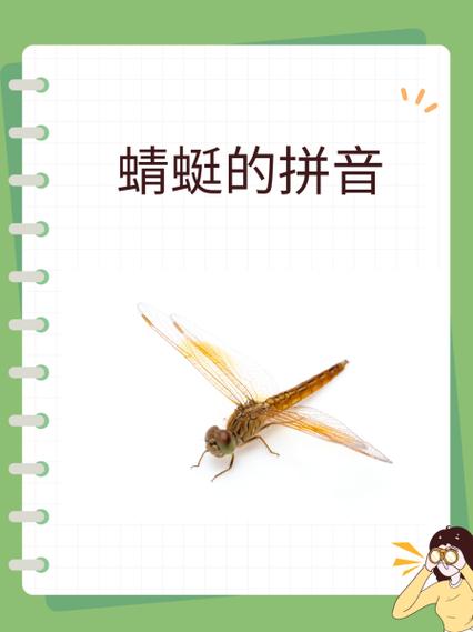 蜻蜓拼音图标