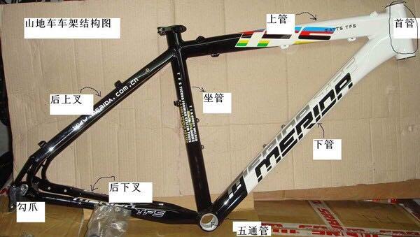 怎么查自行车是不是正品截图