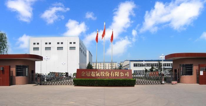 金冠控股集团有限公司图标