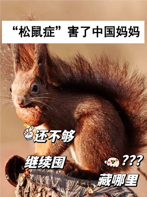松鼠症仓库页1图标