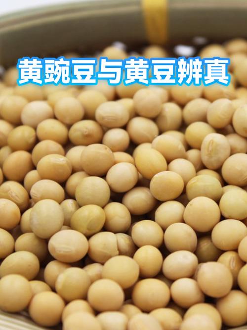 黄豌豆是黄豆吗图标