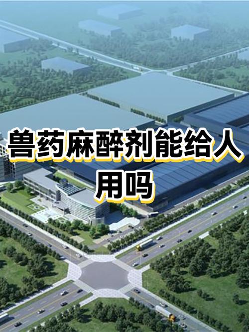 羊麻醉的计量图标