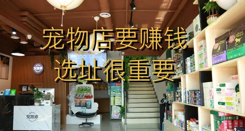 宠物店一般人能开吗截图