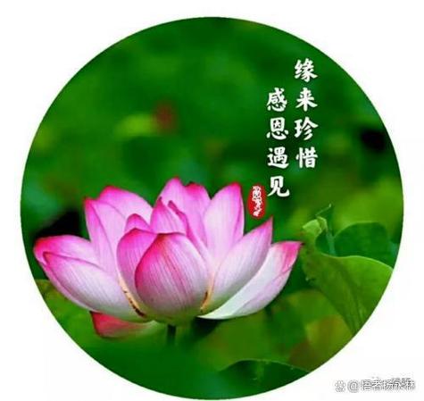 一切随缘截图
