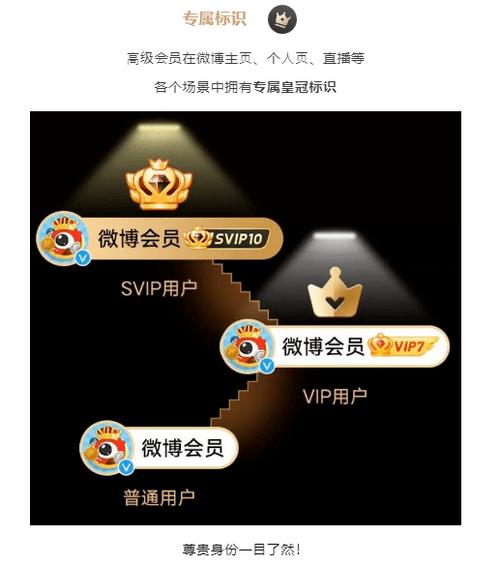 可以看vip的公众号截图