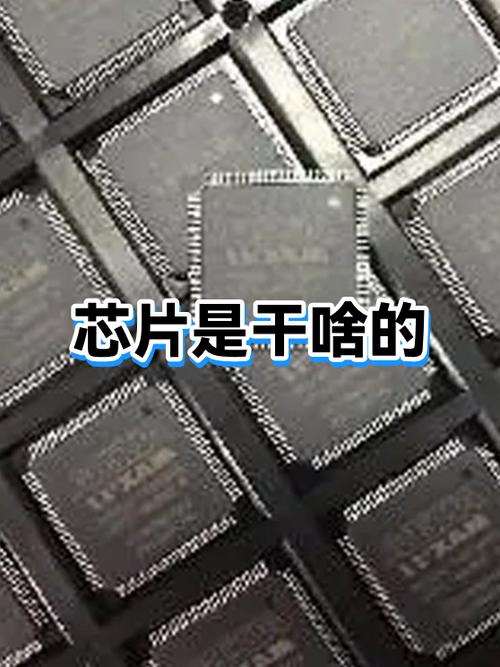 芯片是干什么用的截图