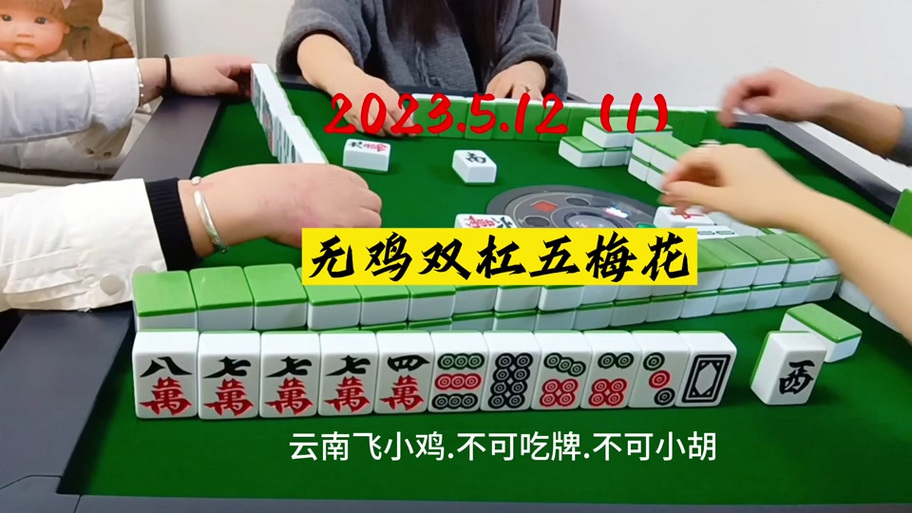飞小鸡玩法介绍截图