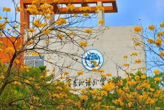 广东外语外贸大学自考官网截图