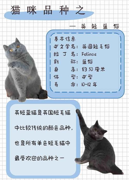 小蓝狮值得培养吗截图