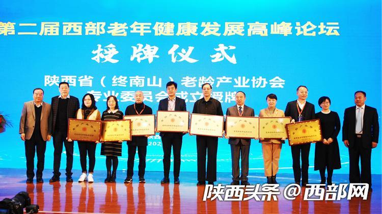 陕西老龄缩略图