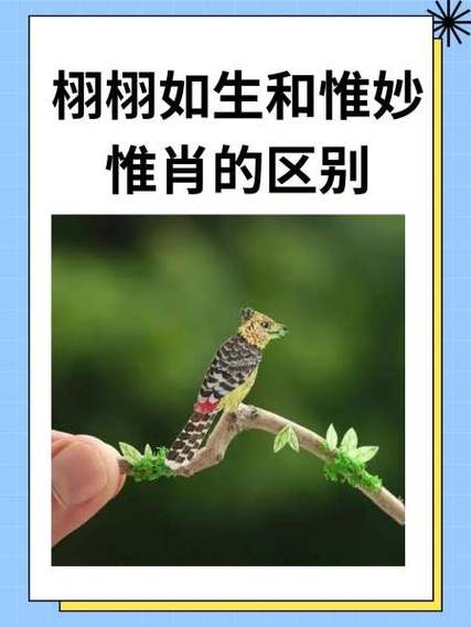 栩栩若生最新章节免费阅读截图