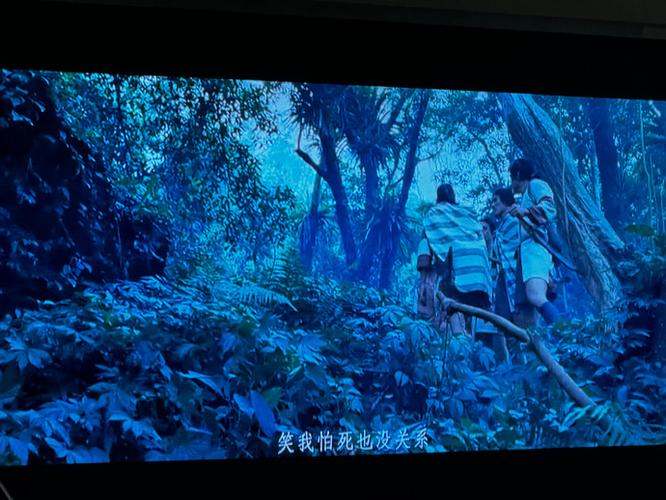 电影《我们》完整版截图