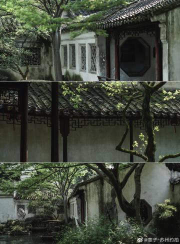 摄清影图标