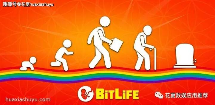 和bitlife差不多的游戏图标