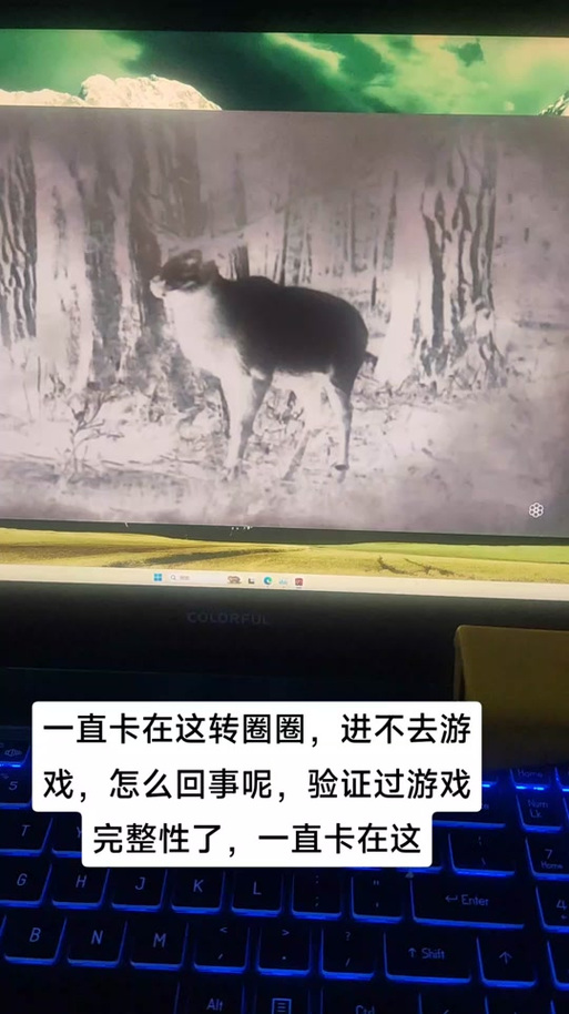 荒野大镖客2一进游戏就闪退图标