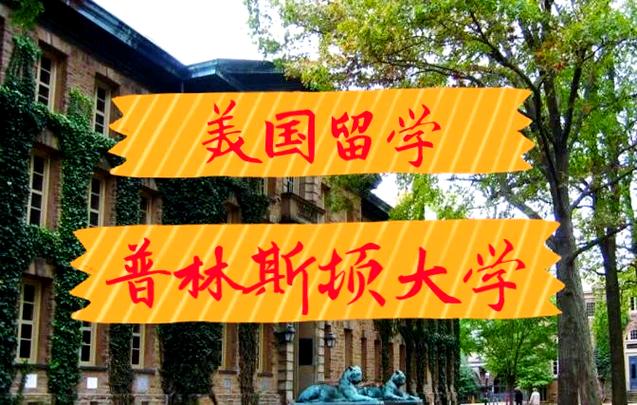 普林斯顿大学有多少学生图标