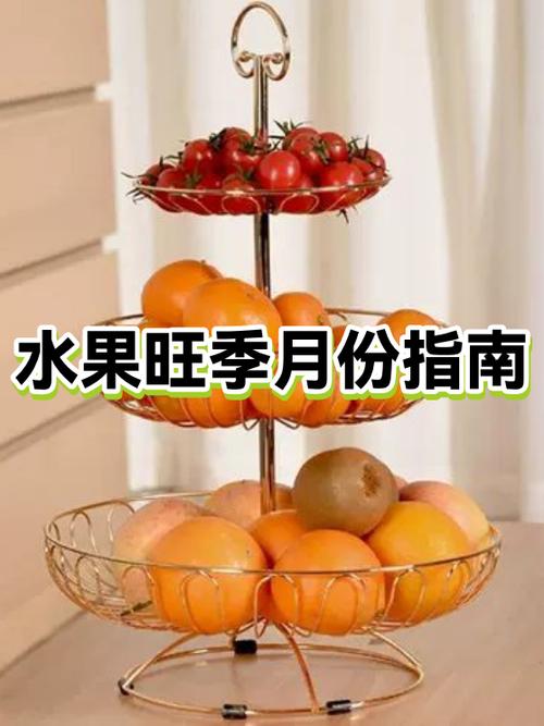 卖水果旺季几月到几月图标