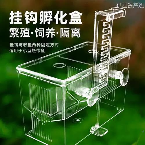鱼缸隔离盒氧气能进去吗图标